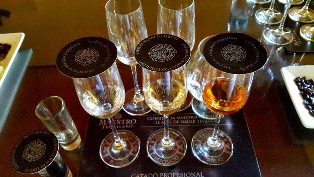 Catado de Tequilas Academia Mexicana Catadores de Tequila