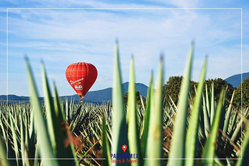 Hot Air Balloon Ride over Tequila